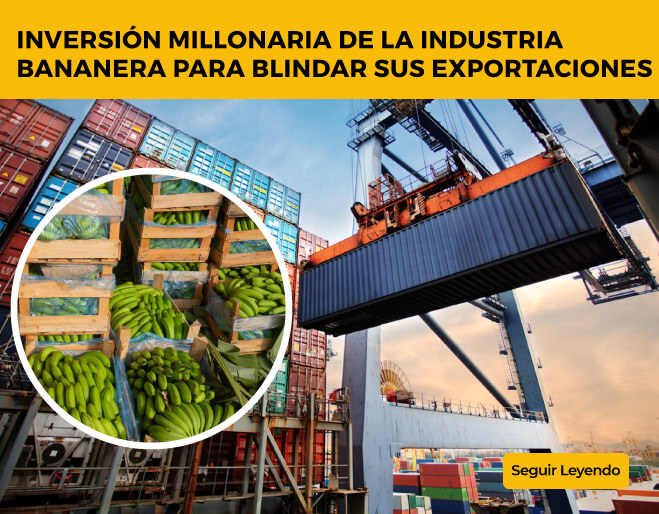 INVERSIÓN MILLONARIA DE LA INDUSTRIA BANANERA PARA BLINDAR SUS ...